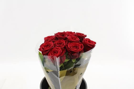 Skinta gėlė Rožė raudona, 60 cm, lot. Rose red - ermitazas.lt