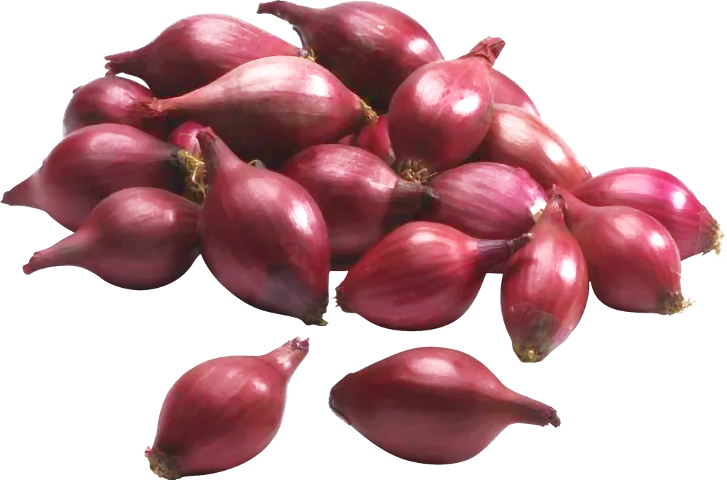 Gėlių, daržovių svogūnėliai (sodinukai) - ermitazas.lt