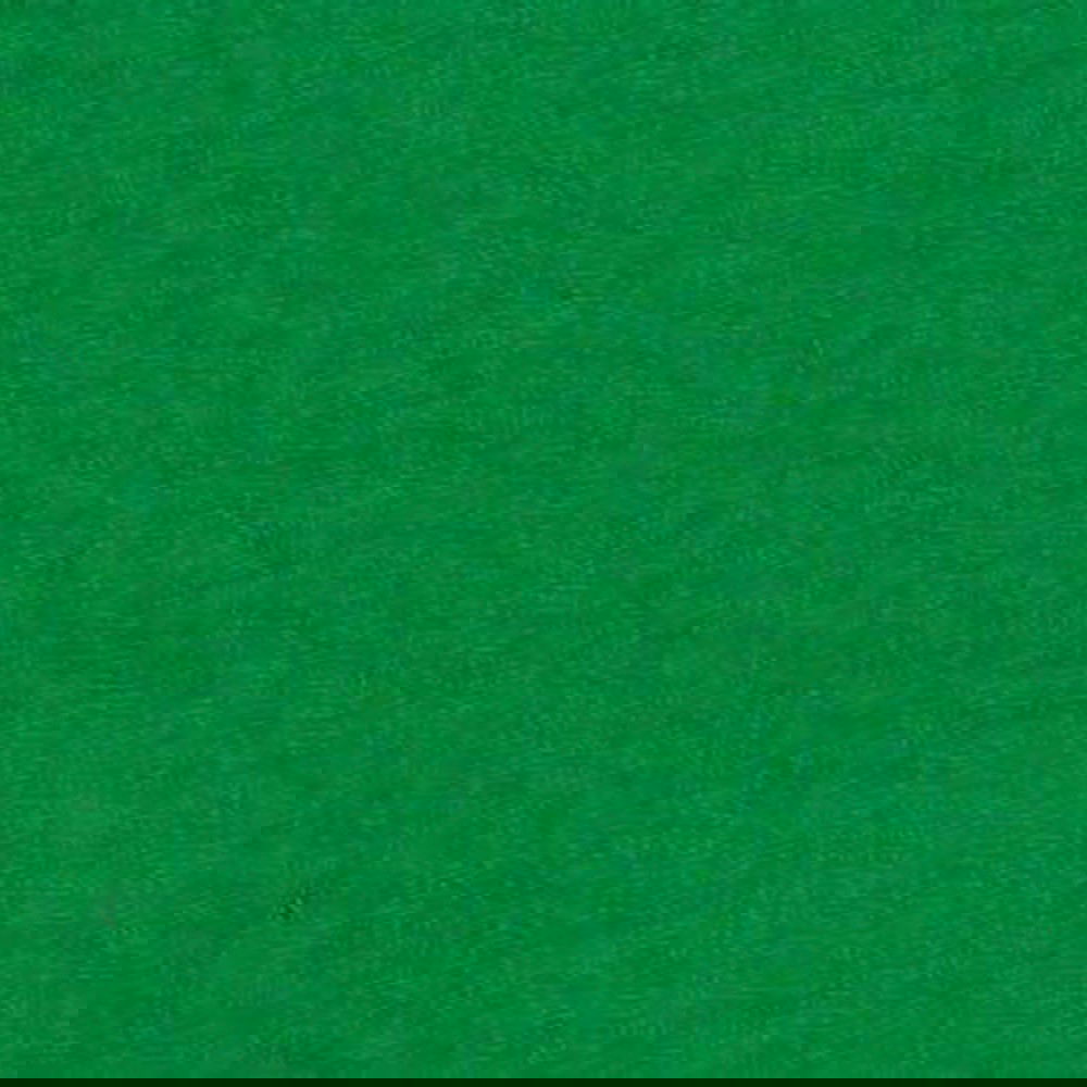 Spalvoti kartonai, 20 lapų, A1/160 g, tamsiai žali - ermitazas.lt