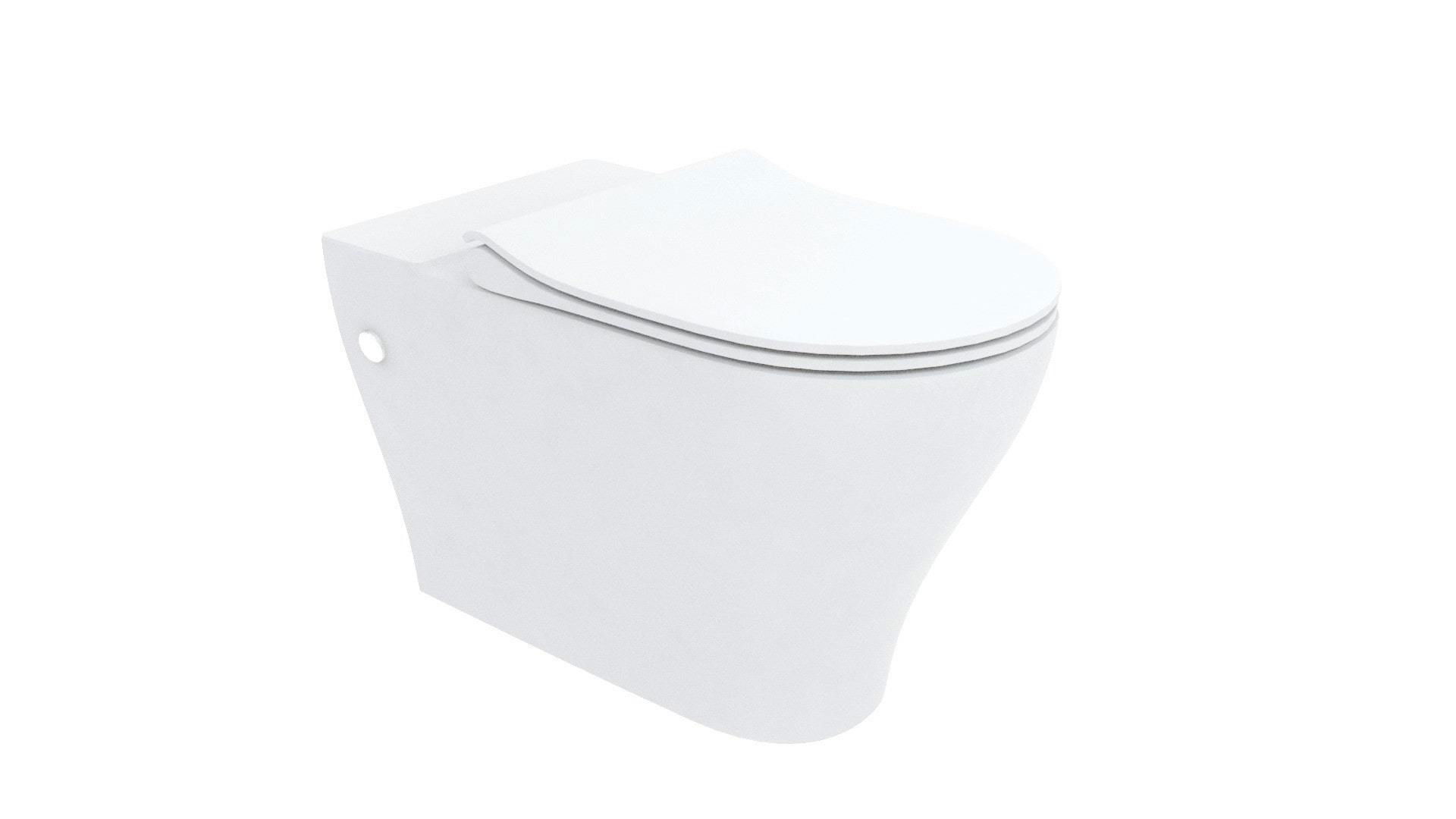 Pastatomi unitazai - ermitazas.lt