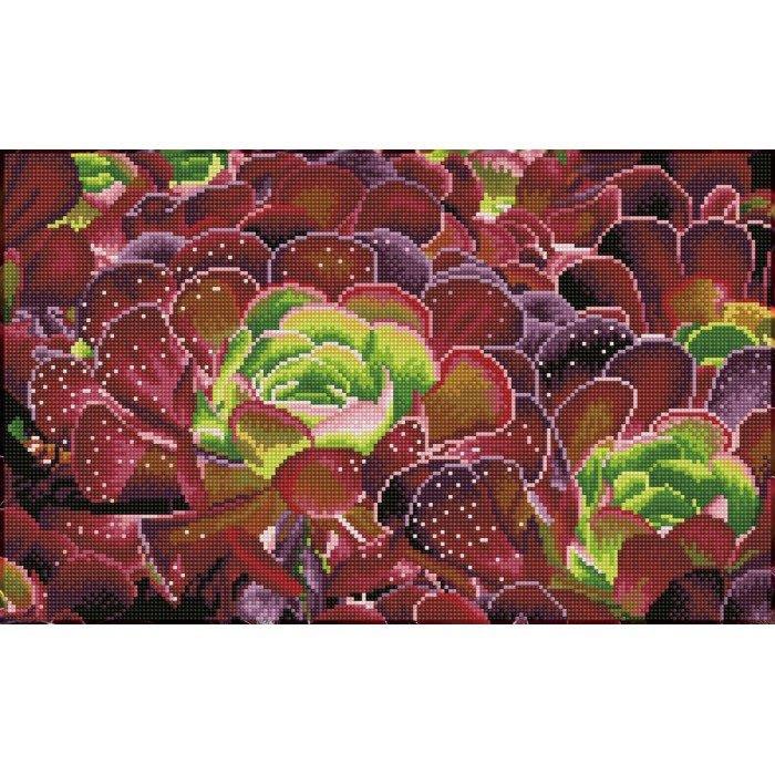 Deimantinė mozaika SUCCULENTS 32x52 cm - ermitazas.lt