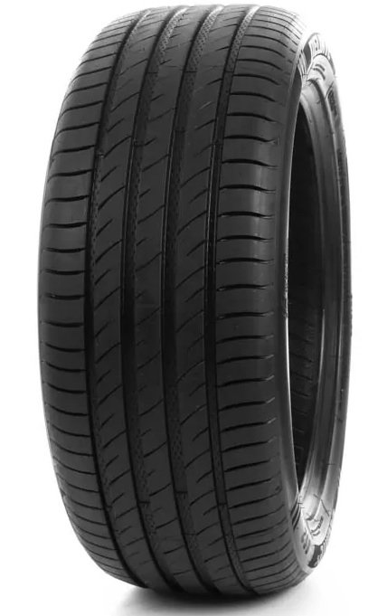 Delinte DS2 225/45R19 96 W - ermitazas.lt