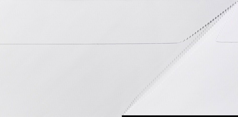 Vokai DL HOLLAND, 120 g, 10 vnt., balti - ermitazas.lt