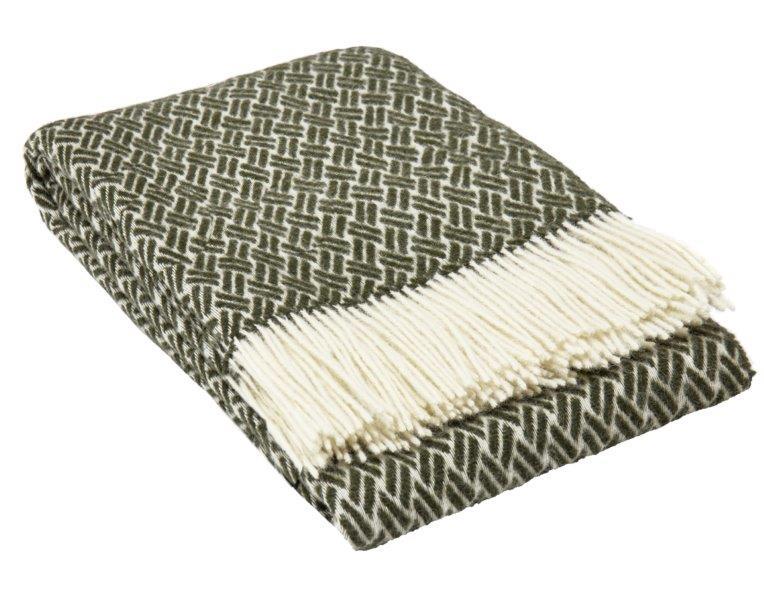 Pledai - ermitazas.lt