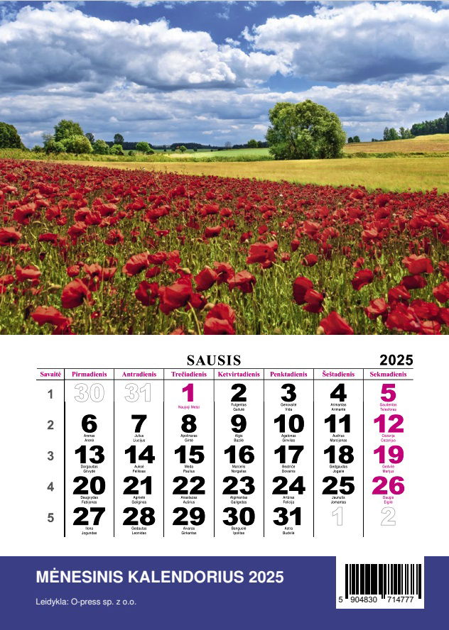 Kalendorius 2025 MĖNESINIS O-PRESS, 4 rūšių - ermitazas.lt