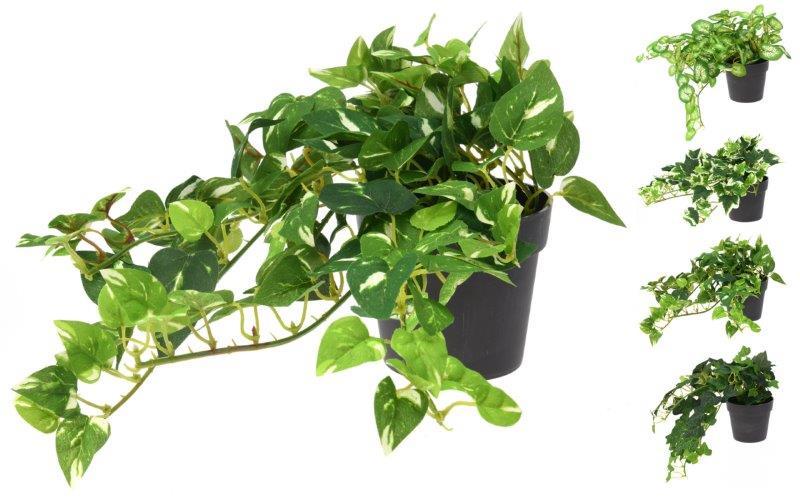 Dirbtinis augalas vazone, kabantis, įv. rūšių, 25 cm - ermitazas.lt