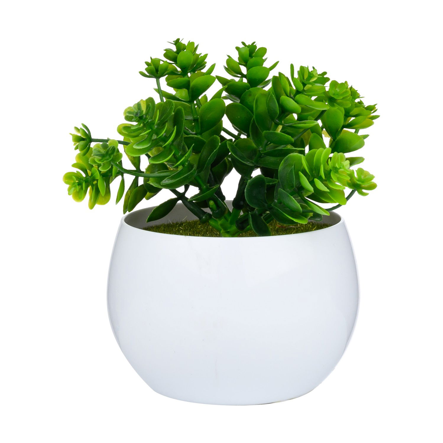 Dirbtinė gėlė vazonėlyje ILAJA, 3 rūšys, 13 x 14 cm - ermitazas.lt