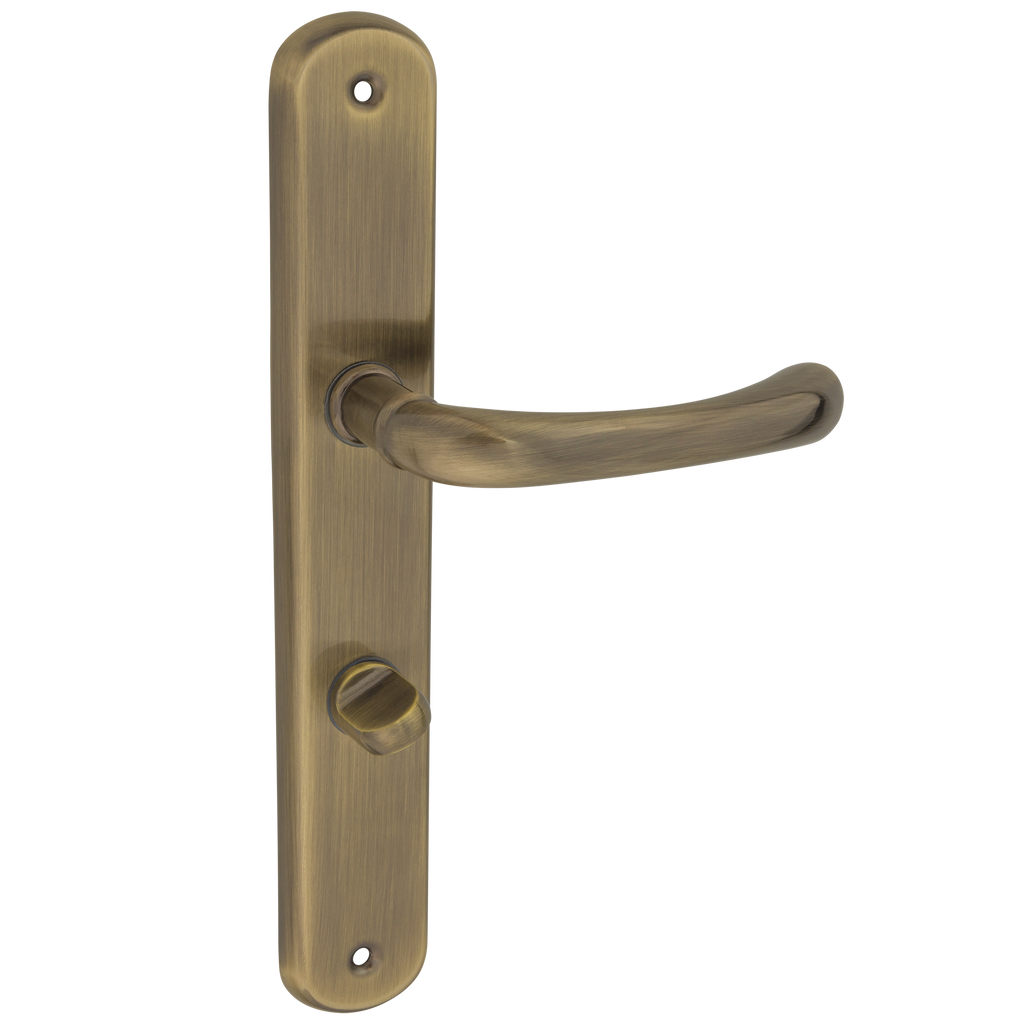 Durų rankena LION, 72 mm, WC, apvali, žalvario spalvos - ermitazas.lt